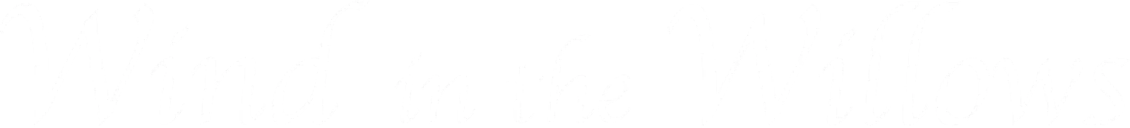 Wind in the Willows Spa - Full service day spa and boutique located in ...